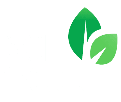 XCH Chia Pool | The Most Reliable Chia Farming Pool